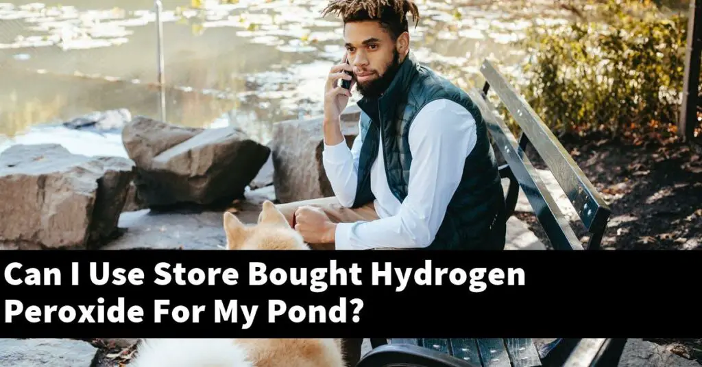 Can I Use Store Bought Hydrogen Peroxide For My Pond? [2025 Guide ...