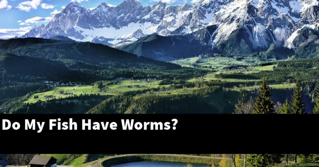 Do My Fish Have Worms? [2025 Guide] - Gold Koi Fish