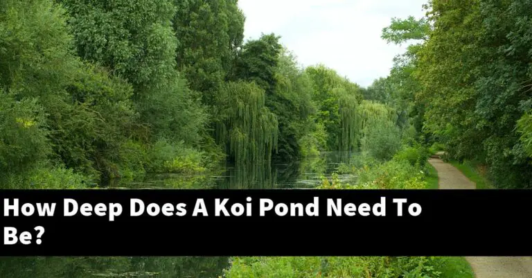 How Deep Does A Koi Pond Need To Be? [2025 Guide] - Gold Koi Fish