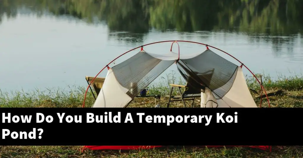 How Do You Build A Temporary Koi Pond? [2025 Guide] - Gold Koi Fish