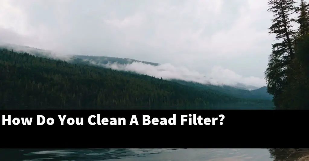 How Do You Clean A Bead Filter? [2025 Guide] - Gold Koi Fish