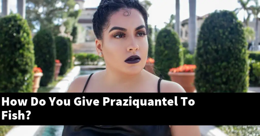 How Do You Give Praziquantel To Fish? [2025 Guide] - Gold Koi Fish