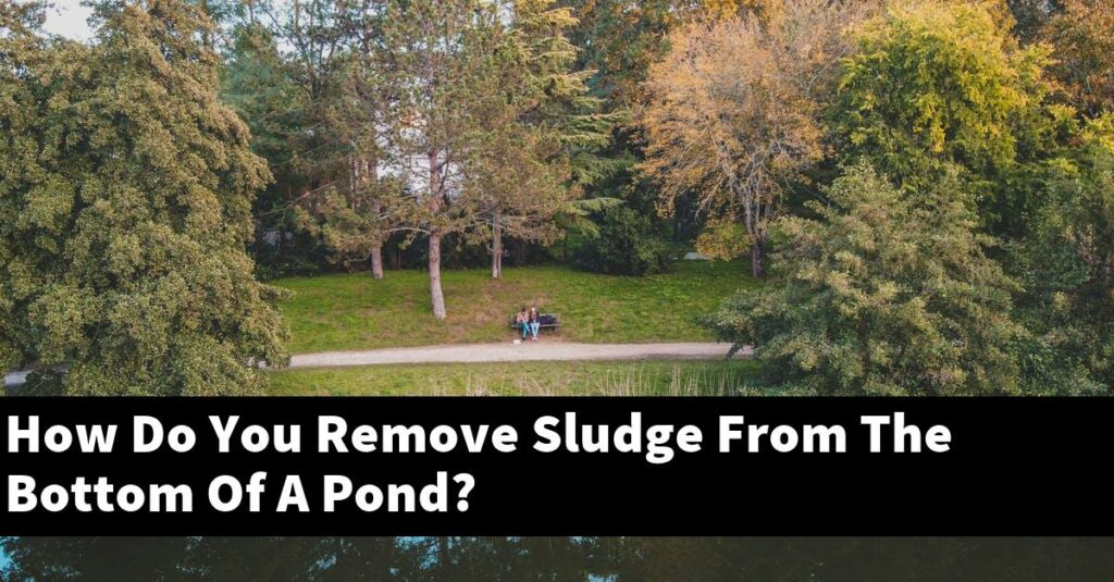 How Do You Remove Sludge From The Bottom Of A Pond? [2026 Guide] - Gold ...
