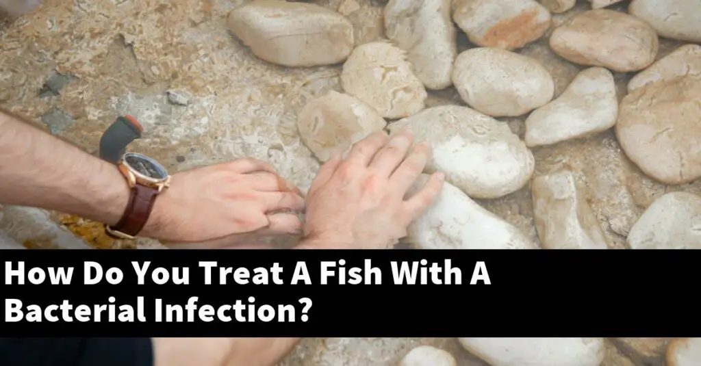 How Do You Treat A Fish With A Bacterial Infection? [2025 Guide] - Gold ...