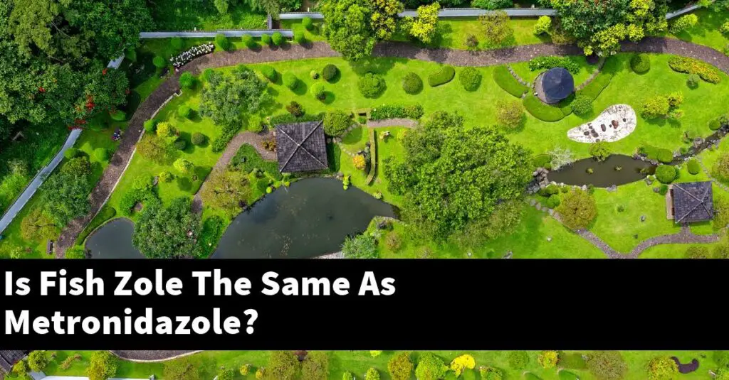 Is Fish Zole The Same As Metronidazole? [2025 Guide] - Gold Koi Fish