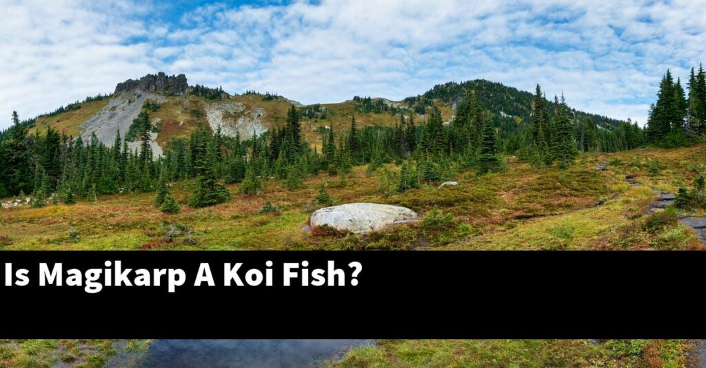 Is Magikarp A Koi Fish? [2026 Guide] - Gold Koi Fish