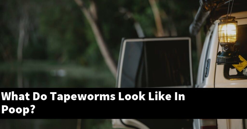 What Do Tapeworms Look Like In Poop? [2026 Guide] - Gold Koi Fish