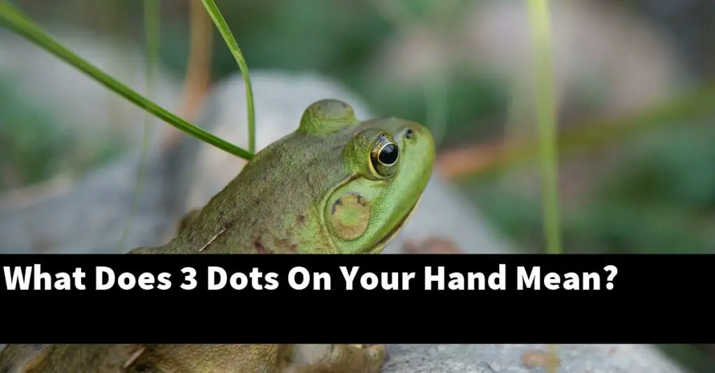 What Does 3 Dots On Your Hand Mean? [2025 Guide] - Gold Koi Fish