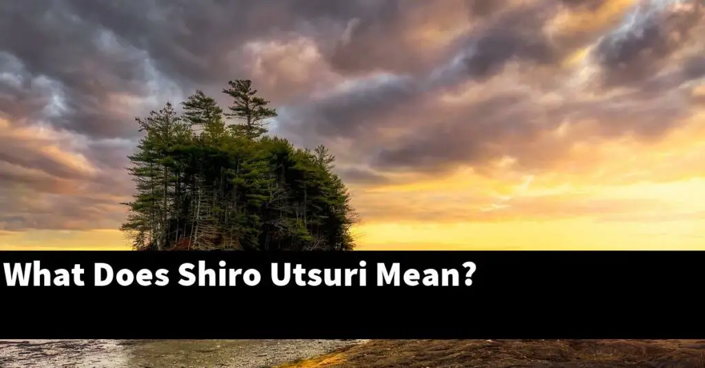 What Does Shiro Utsuri Mean? [2025 Guide] - Gold Koi Fish