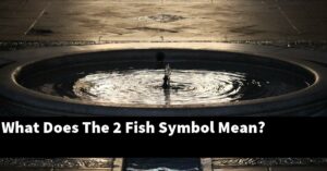 What Does The 2 Fish Symbol Mean? [2025 Guide] - Gold Koi Fish