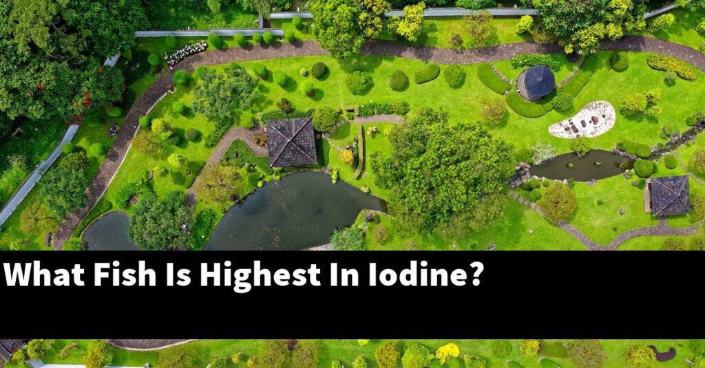 What Fish Is Highest In Iodine? [2026 Guide] - Gold Koi Fish