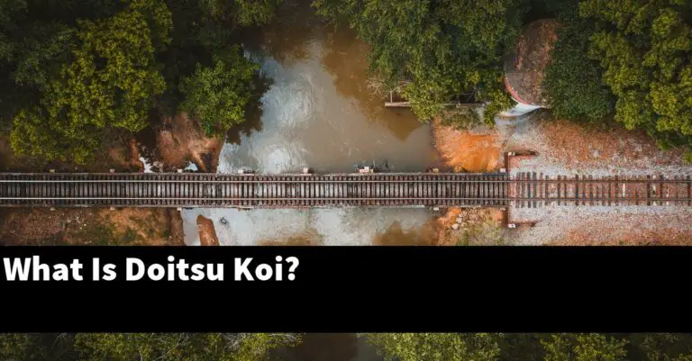What Is Doitsu Koi? [2025 Guide] - Gold Koi Fish