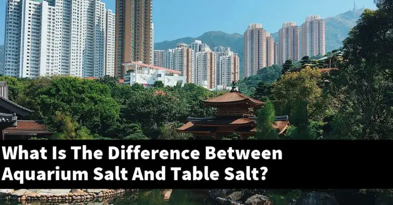 What Is The Difference Between Aquarium Salt And Table Salt? [2025 ...