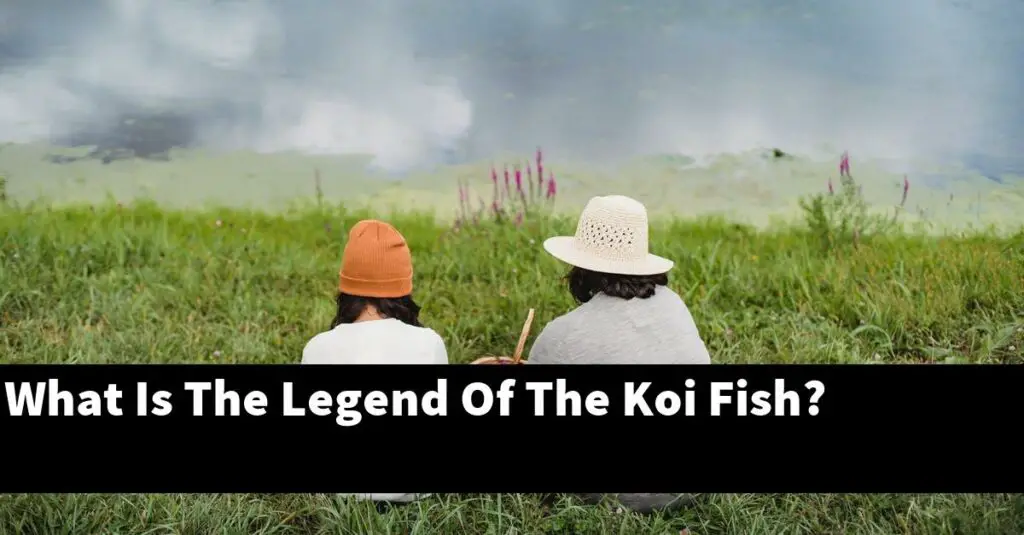 What Is The Legend Of The Koi Fish? [2025 Guide] - Gold Koi Fish