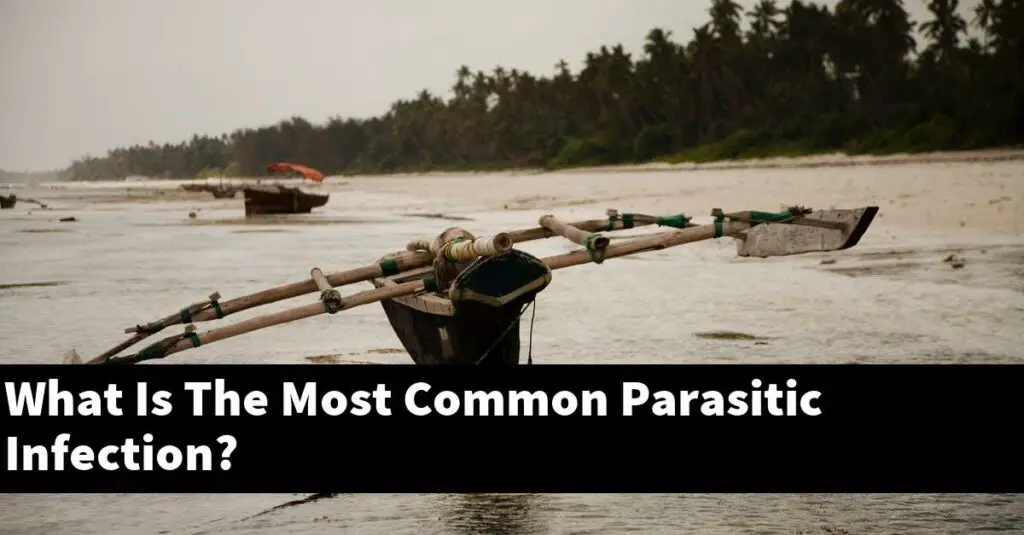 What Is The Most Common Parasitic Infection? [2025 Guide] - Gold Koi Fish
