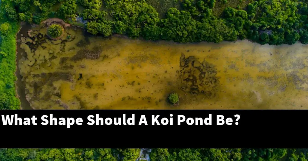 What Shape Should A Koi Pond Be? [2025 Guide] - Gold Koi Fish