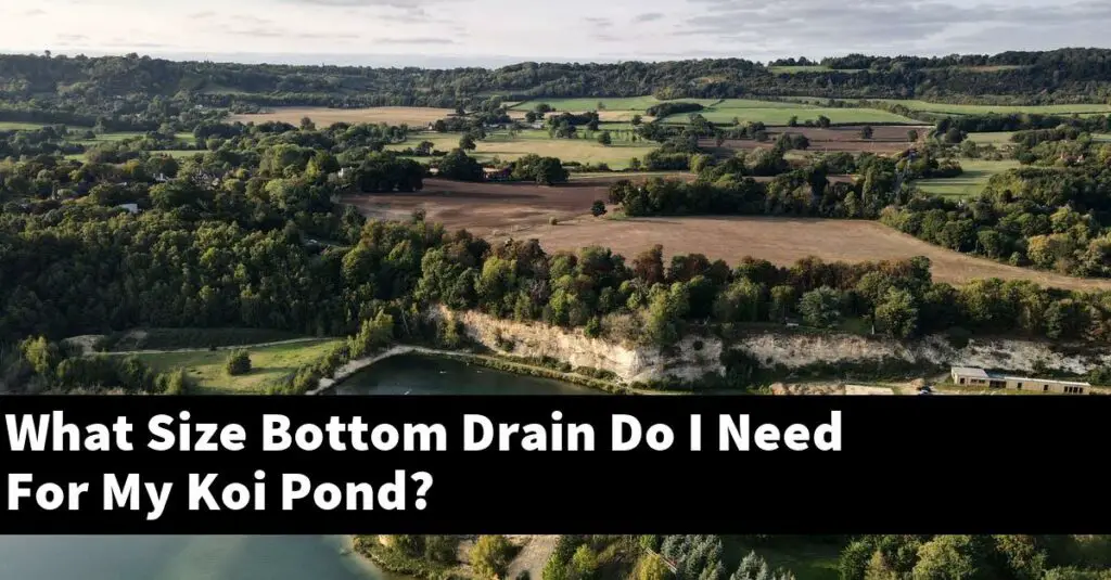 What Size Bottom Drain Do I Need For My Koi Pond? [2025 Guide] - Gold ...