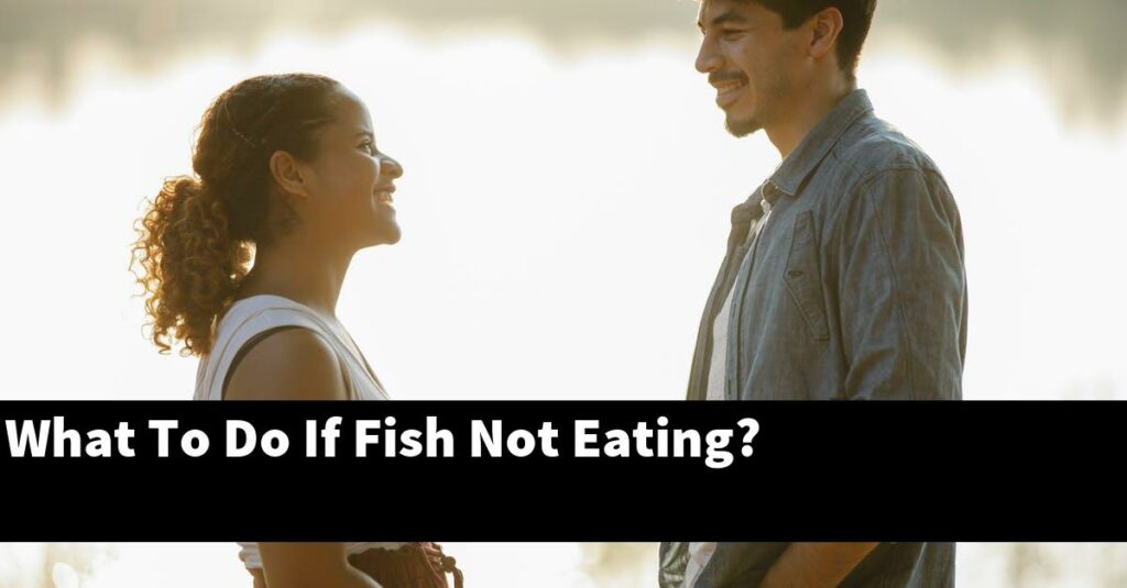 What To Do If Fish Not Eating? [2025 Guide] - Gold Koi Fish